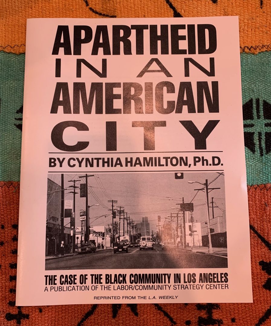 Apartheid In An American City, by Cynthia Hamilton - The Labor ...