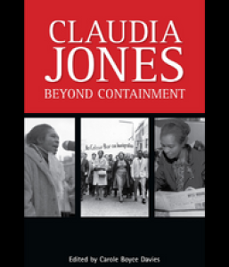 Apartheid In An American City, by Cynthia Hamilton - The Labor ...