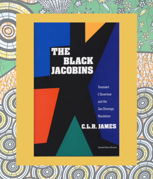 Strategy and Soul Bookstore - The Labor Community Strategy Center